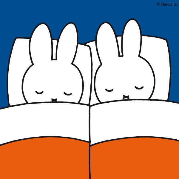 Stay in the Miffy room | Miffy Blogs