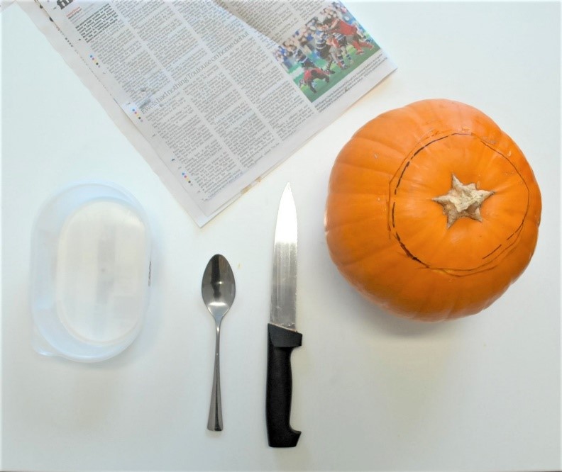Carve a Miffy pumpkin! | Miffy Blogs