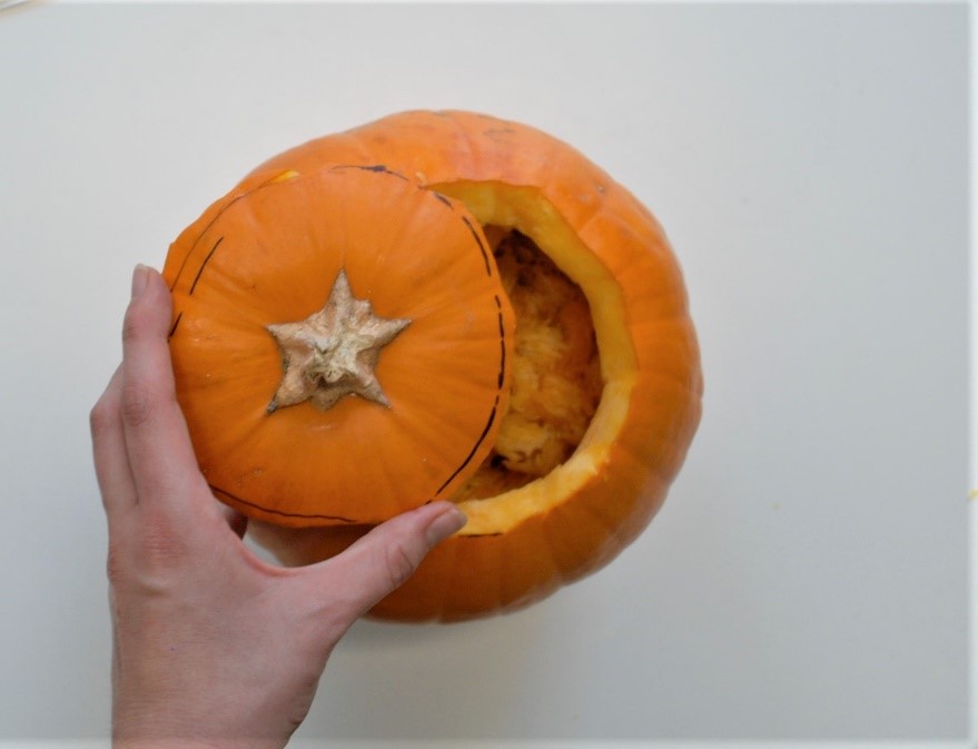 Carve a Miffy pumpkin! | Miffy Blogs