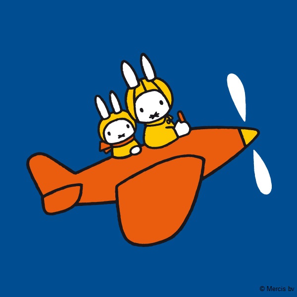 Miffy’s Resolutions | Miffy Blogs