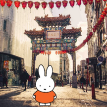 Miffy x Chinatown | Miffy Blogs