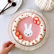Miffy’s Birthday | Miffy Blogs